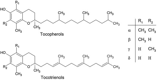 Tocotrienols - Optimum Youth